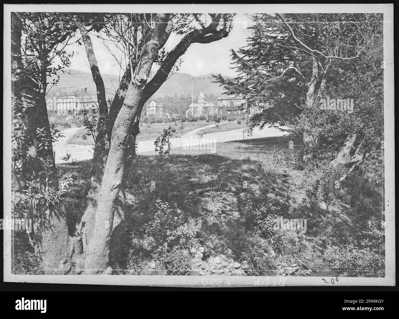 U s university history Black and White Stock Photos & Images - Alamy