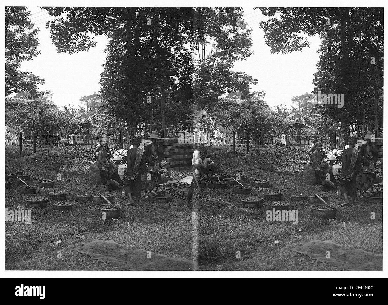 Processing agriculture Cut Out Stock Images & Pictures - Alamy