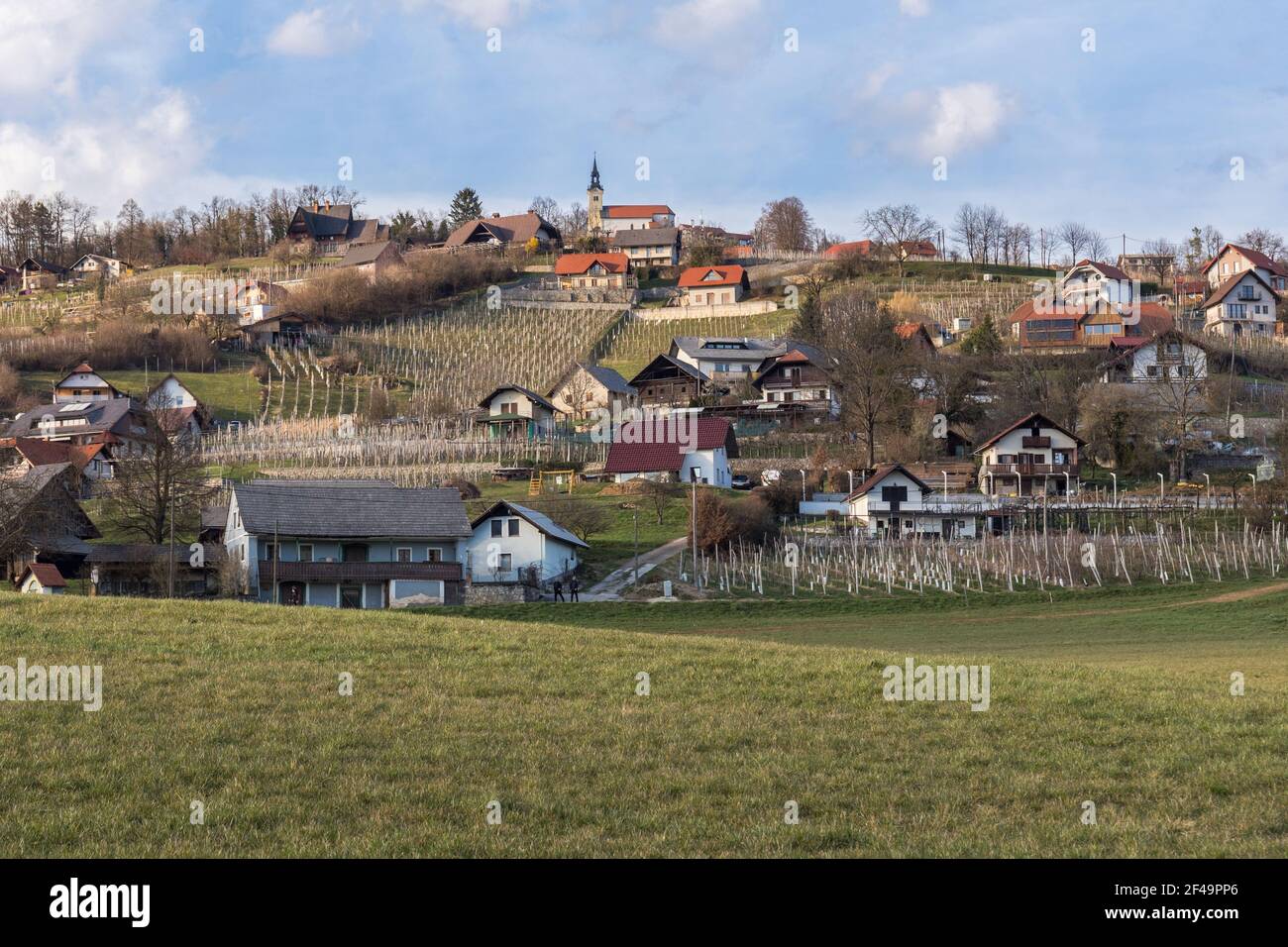 Trska hi-res stock photography and images - Alamy