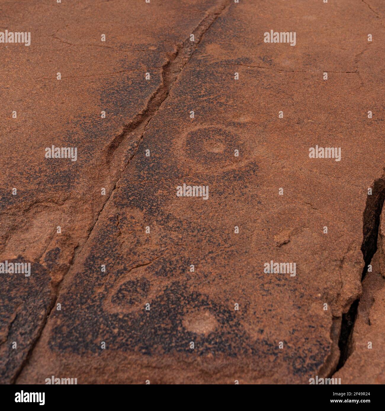 Prehistoric Bushman engravings, rock painting at Twyfelfontein, Namibia ...