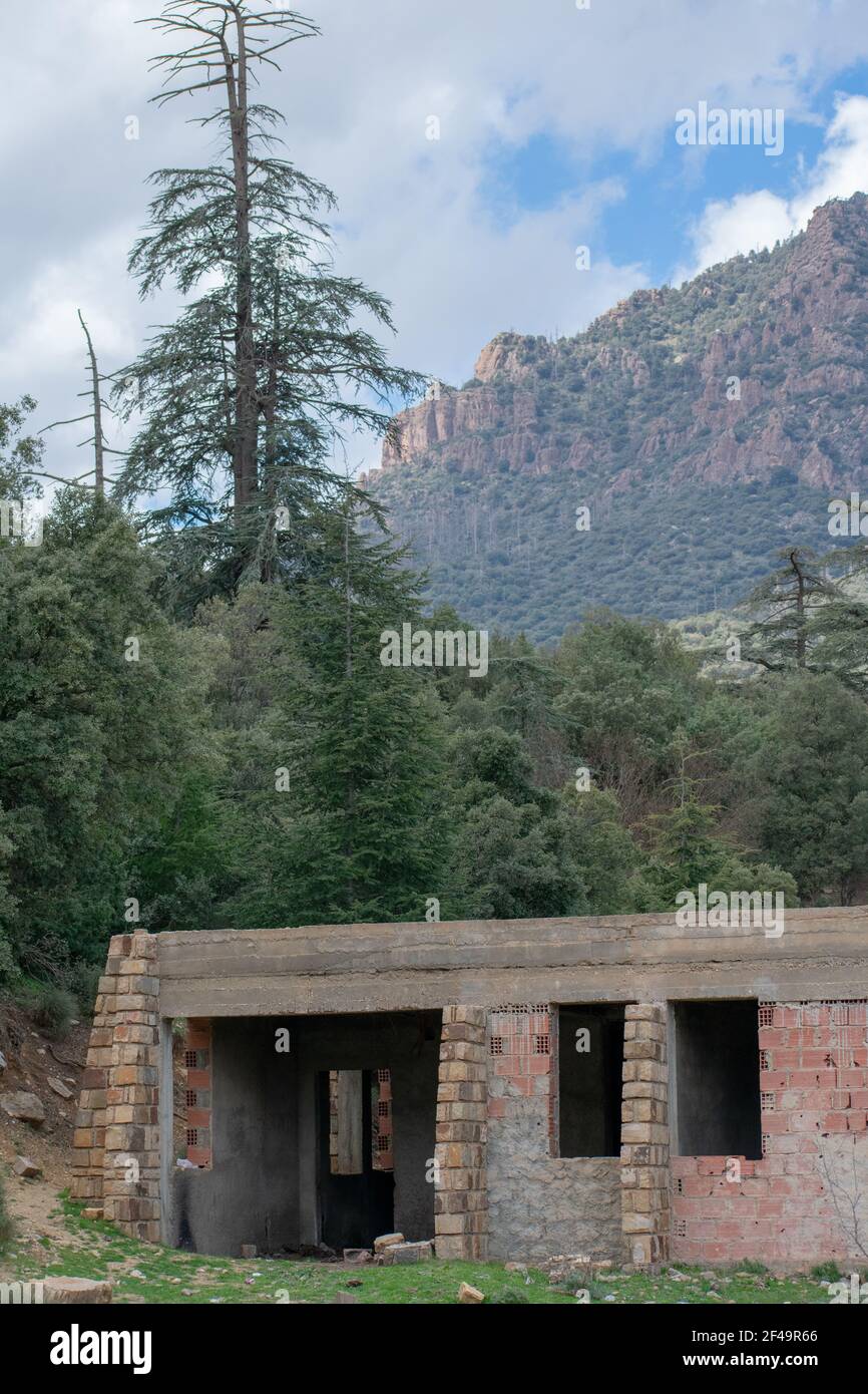 Belezma National park in the Aures mountains, Batna, Algeria Stock ...