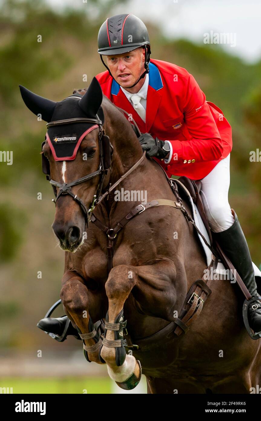 Doug payne horse hi-res stock photography and images - Alamy