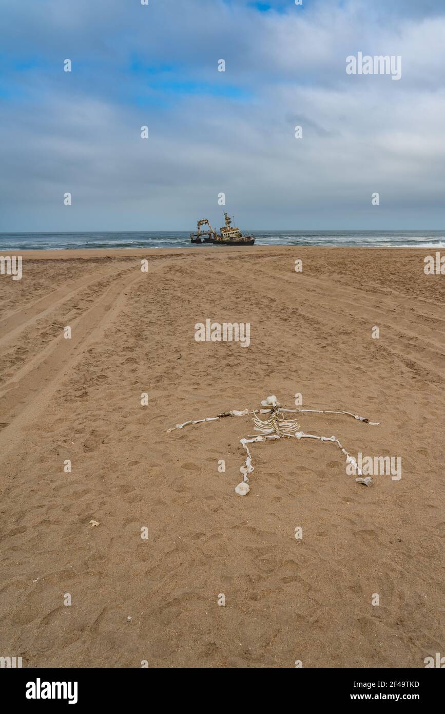 Skeleton Coast in Namibia. The shipwreck was stranded or grounded at ...