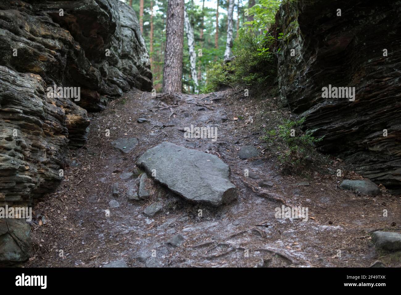 ground path between rock formation made from sandstones inside of a ...