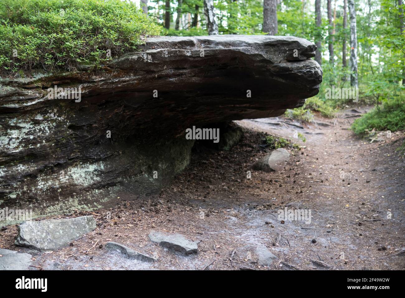 rock formation made from sandstones inside of a forest during summer ...