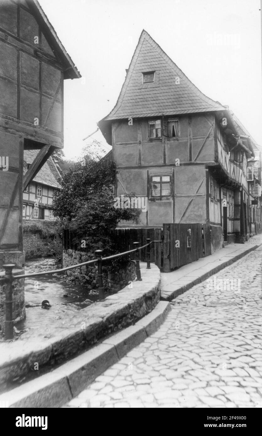 Goose photography Black and White Stock Photos & Images - Alamy