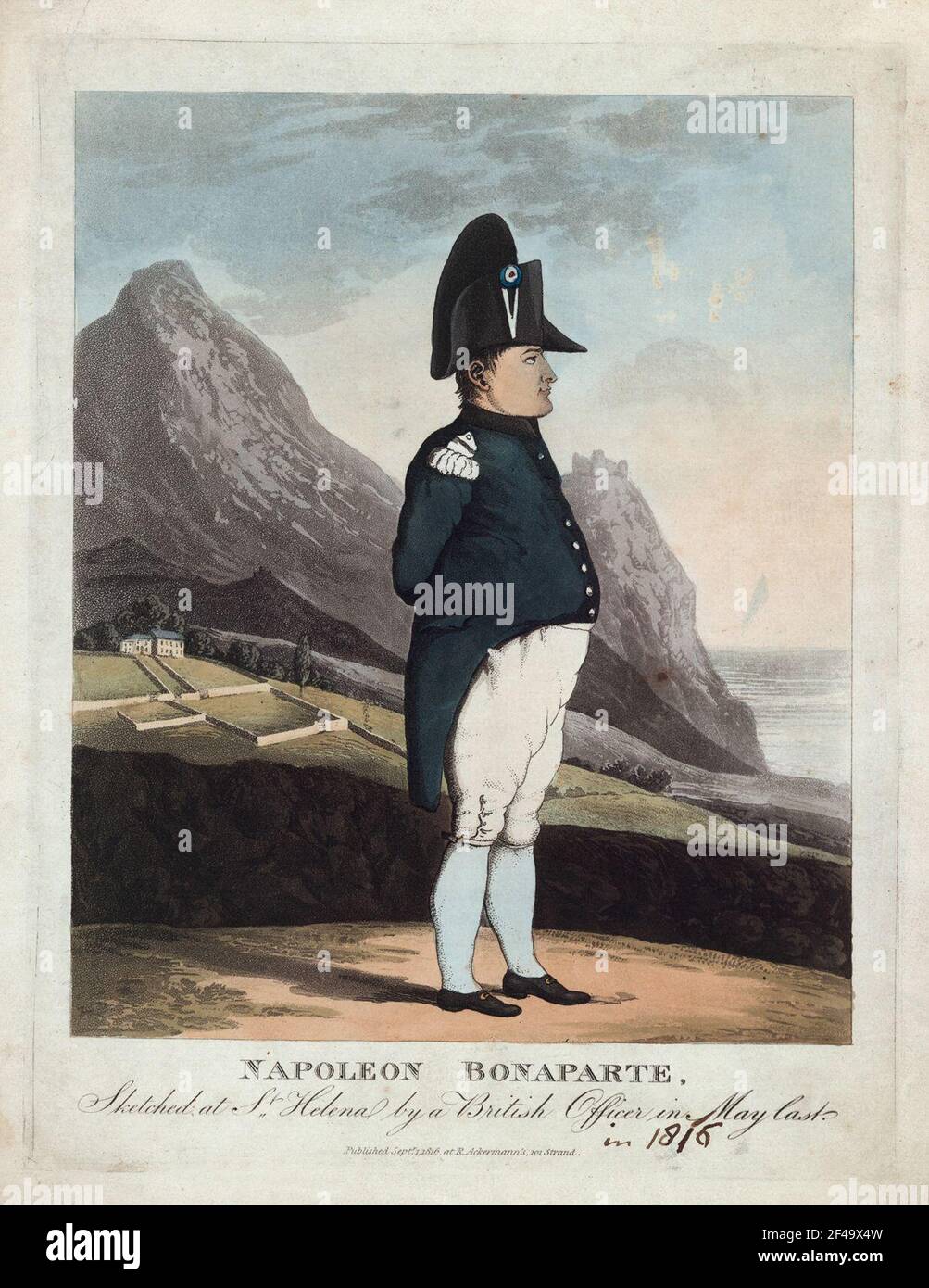 21 x 17 x 10 5 cm hi-res stock photography and images - Alamy