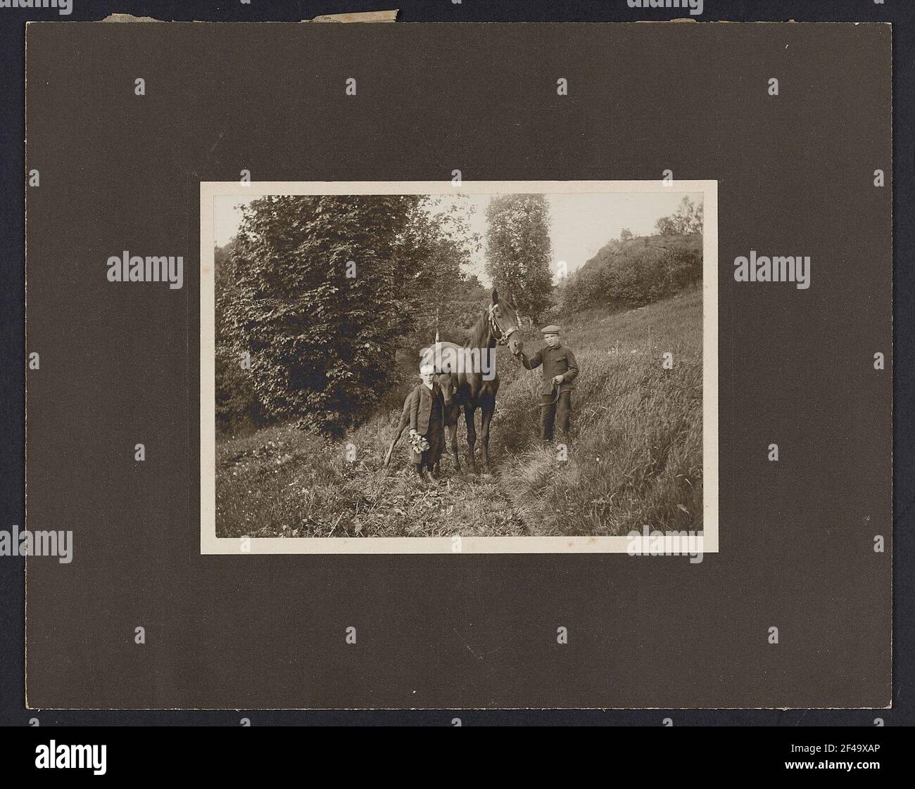 Two boys with riding horse on a pasture Stock Photo - Alamy