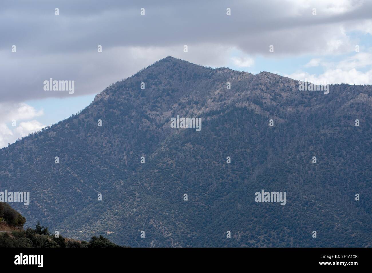 Belezma National park in the Aures mountains, Batna, Algeria Stock ...