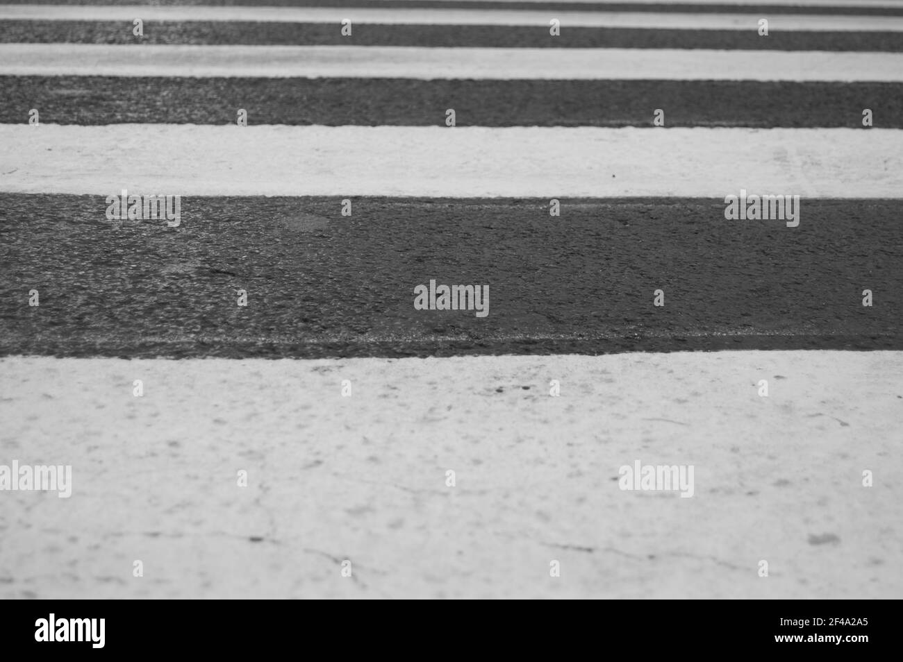 A greyscale shot of the crosswalk lines on the street Stock Photo - Alamy