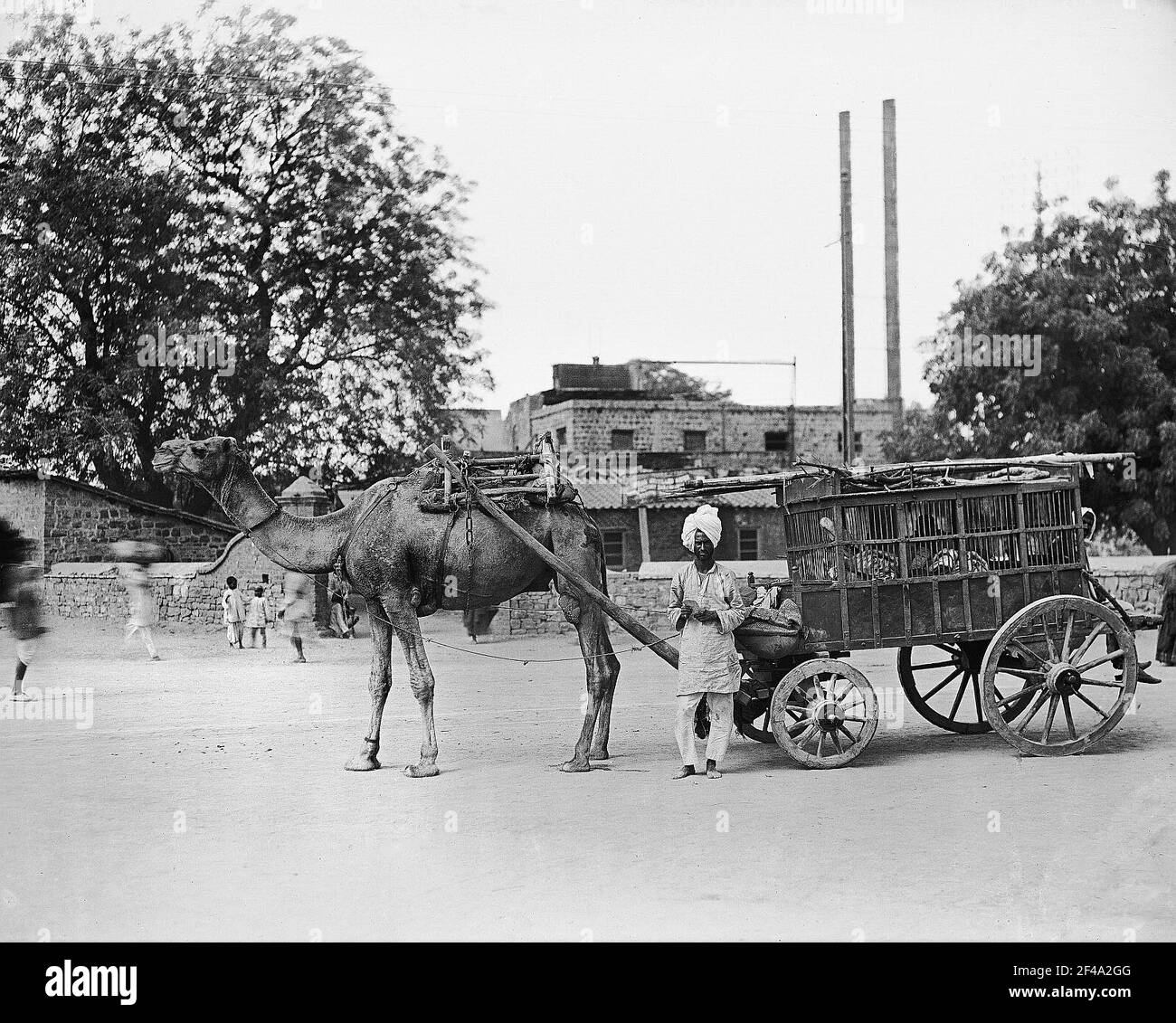 Bombay / India: Local guest car with camel Bombay, India: Local front ...