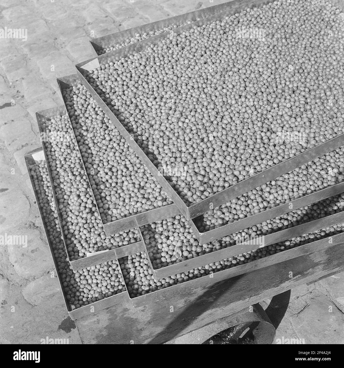 Gifhorn Black and White Stock Photos & Images - Alamy