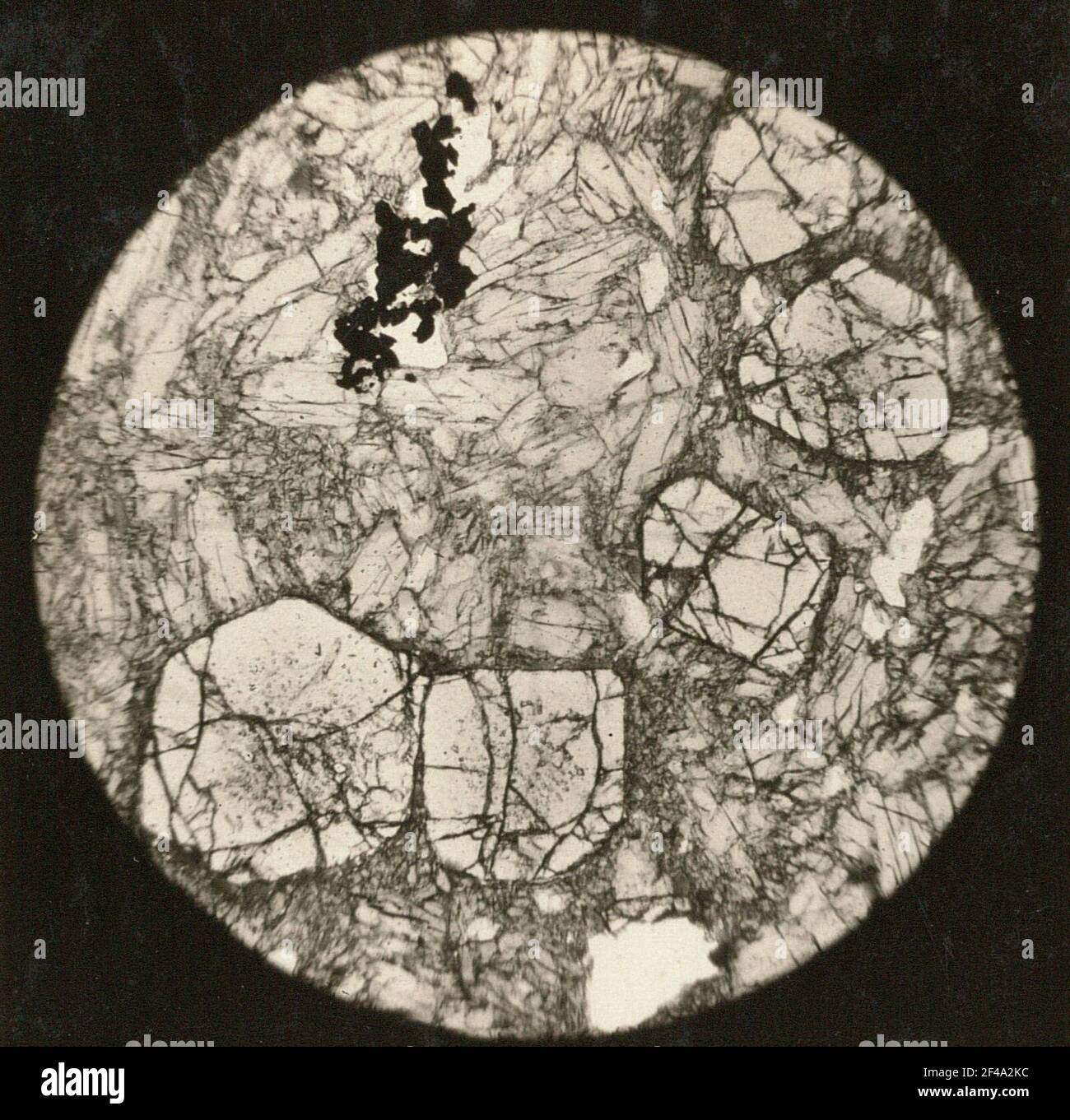 Eclogite hi-res stock photography and images - Alamy