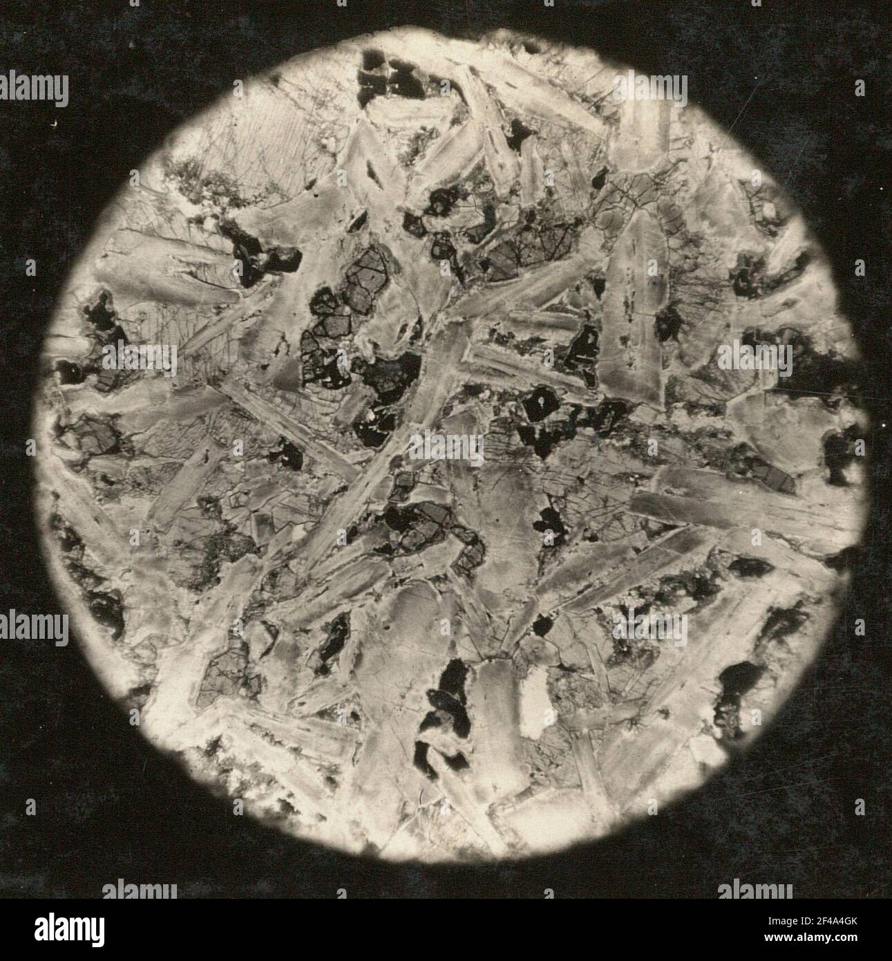 Gabbro thin hi-res stock photography and images - Alamy