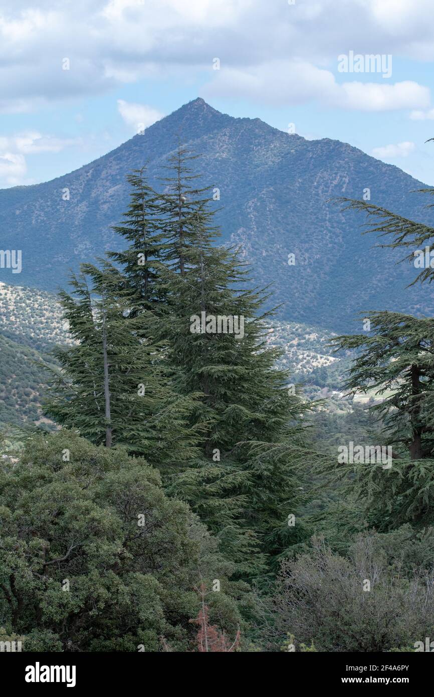 Belezma National park in the Aures mountains, Batna, Algeria Stock ...