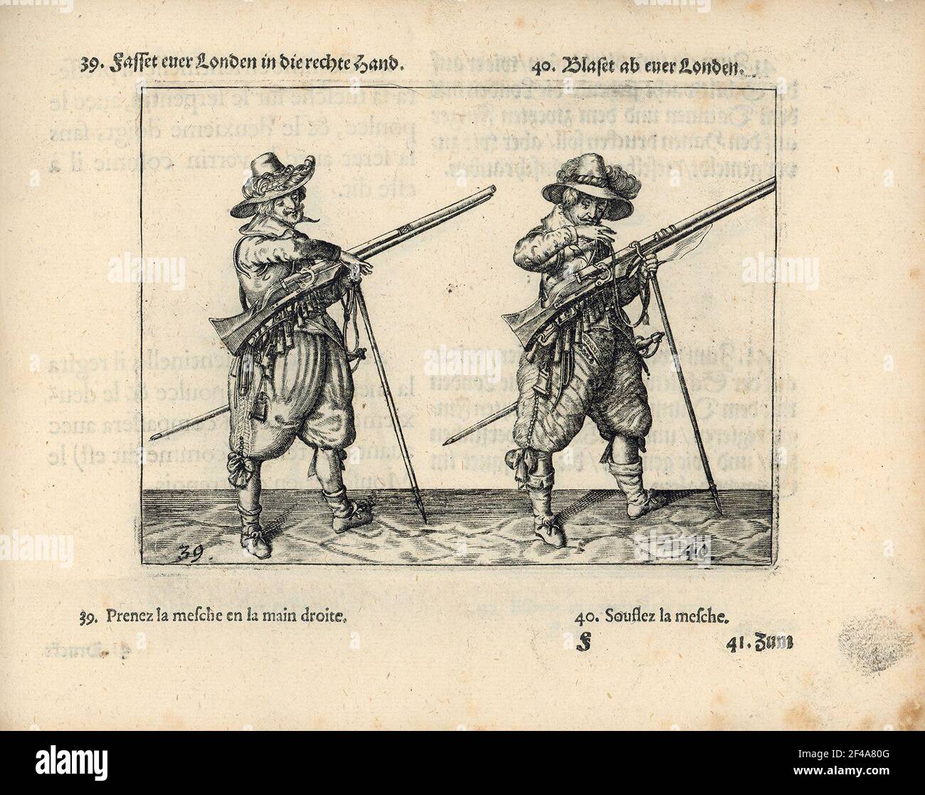 Drill for weapons handling in musket animals Stock Photo - Alamy