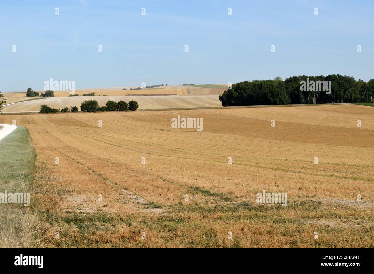 Open fields, farm tractors and agriculture in northern france, piney ...
