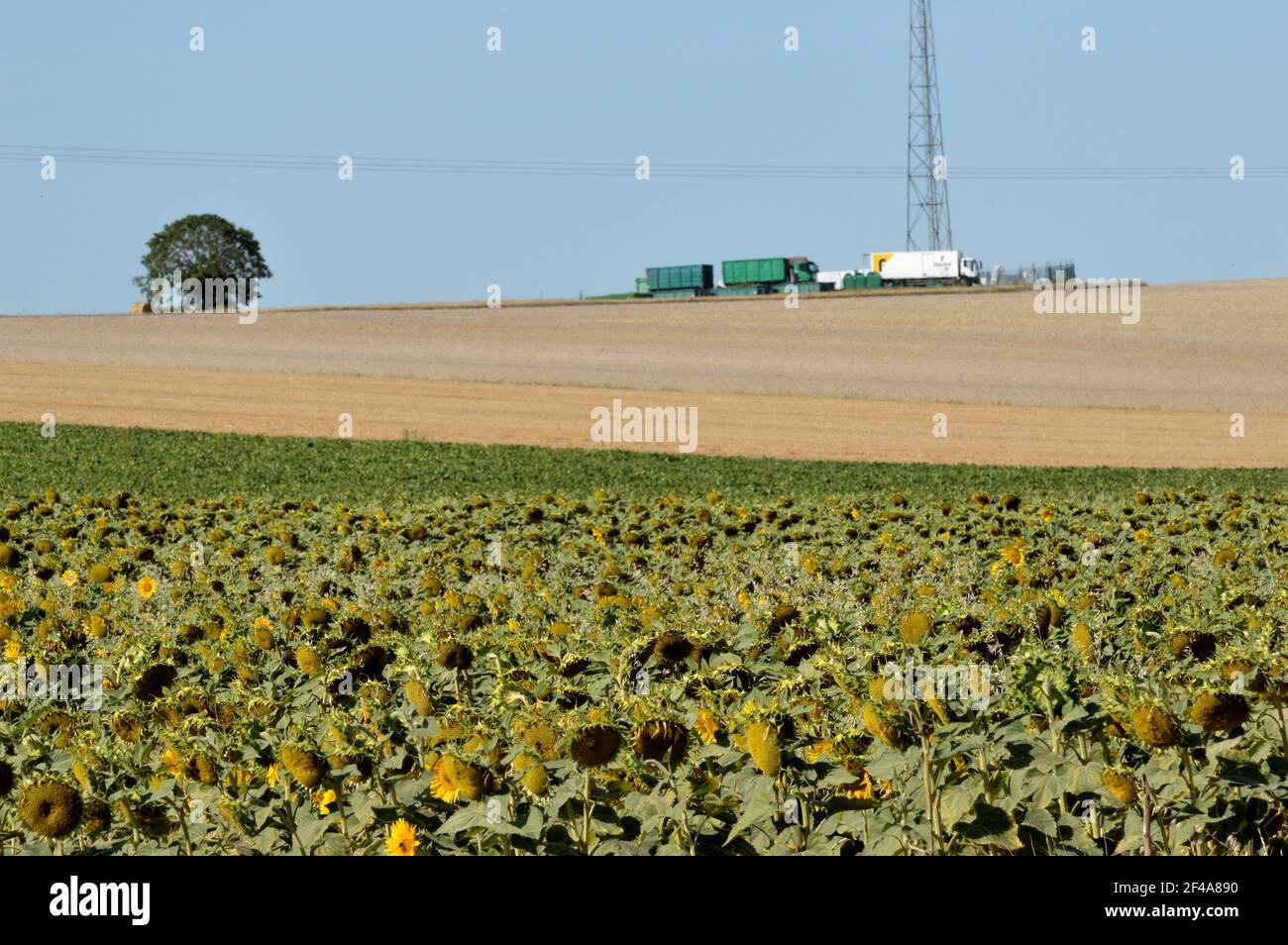 Open fields, farm tractors and agriculture in northern france, piney ...