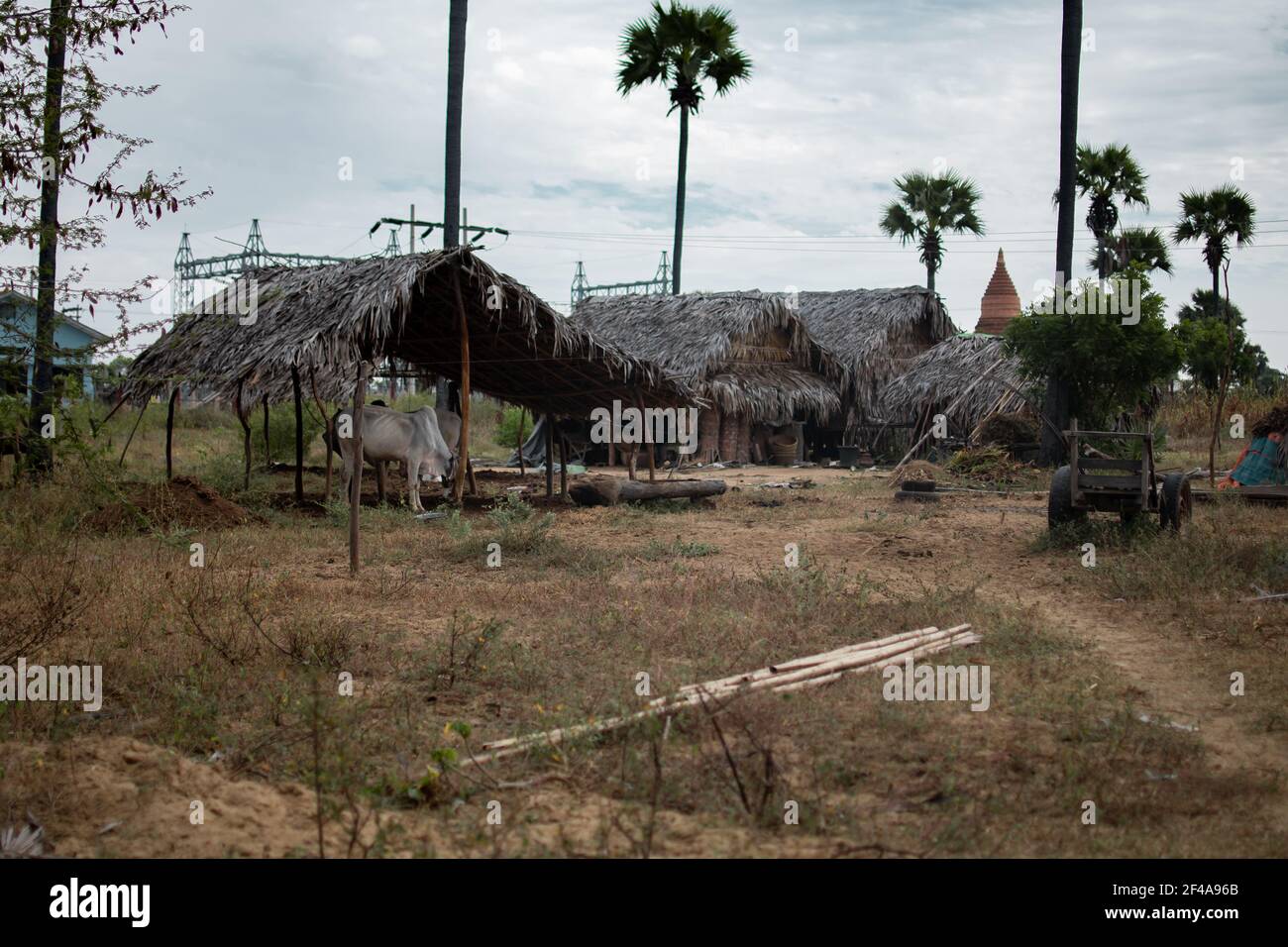 A few simple rural houses by a farm with two ox and a wagon with a ...