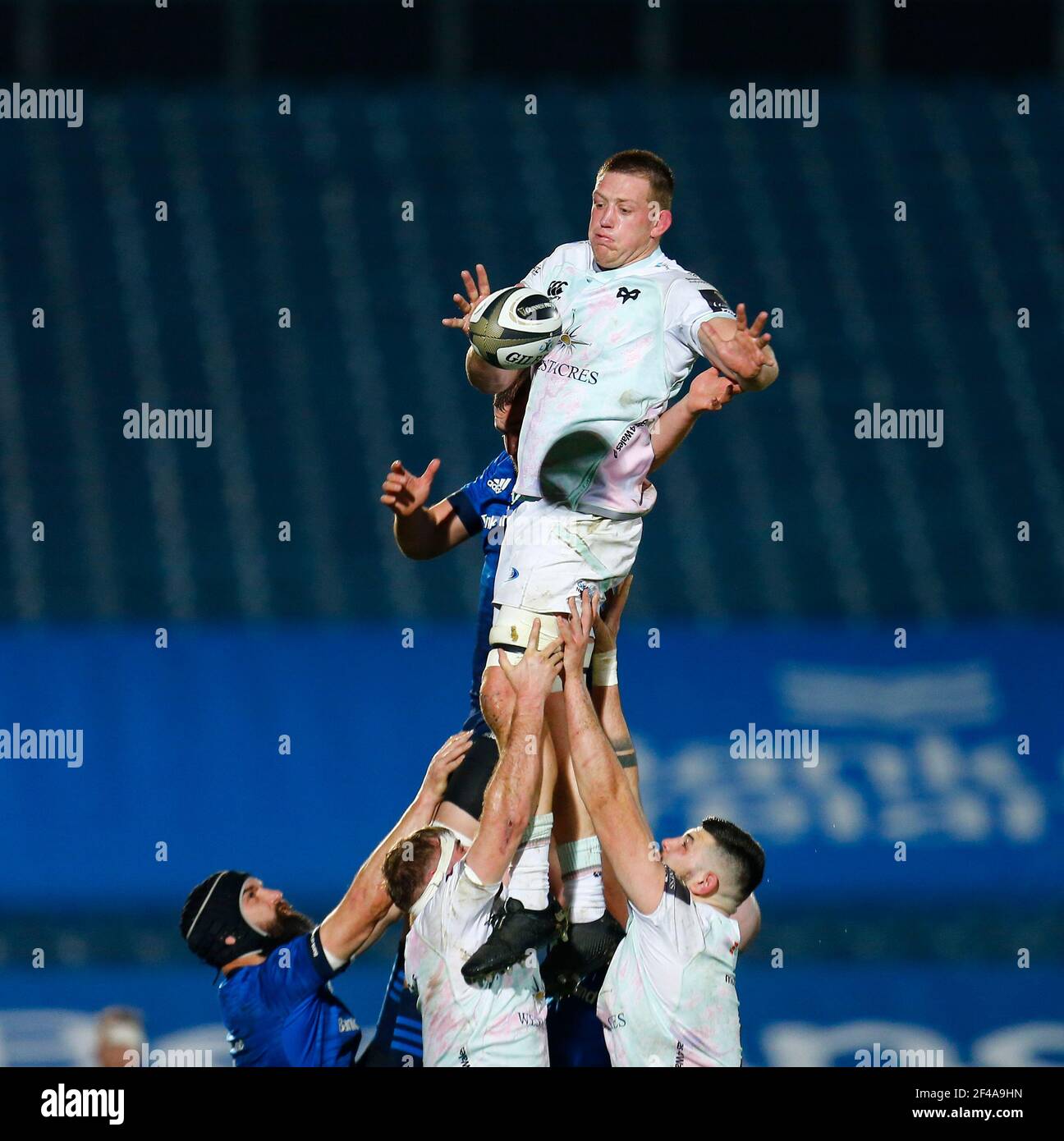 Lloyd ashley hi-res stock photography and images - Alamy