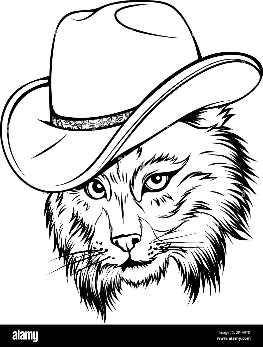 How To Draw A Wild Cat