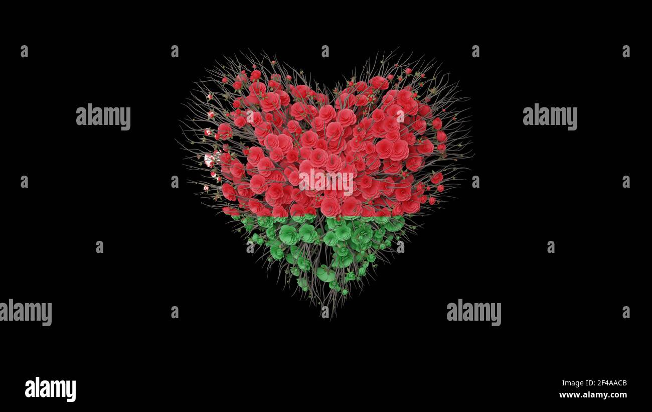 Belarus National Day. Independence Day. Heart shape made out of flowers ...