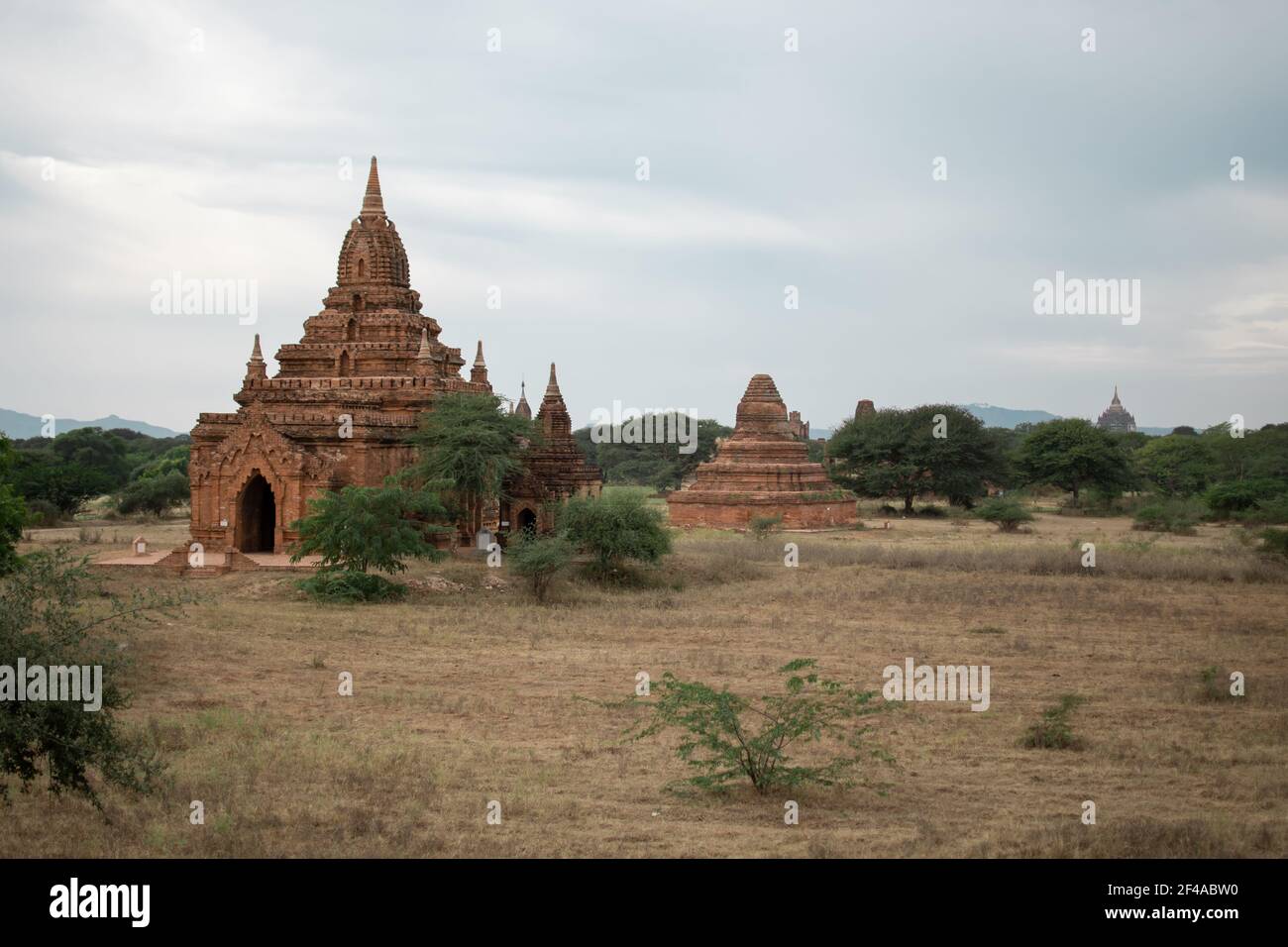 Myanmar burma palm trees in hi-res stock photography and images - Alamy