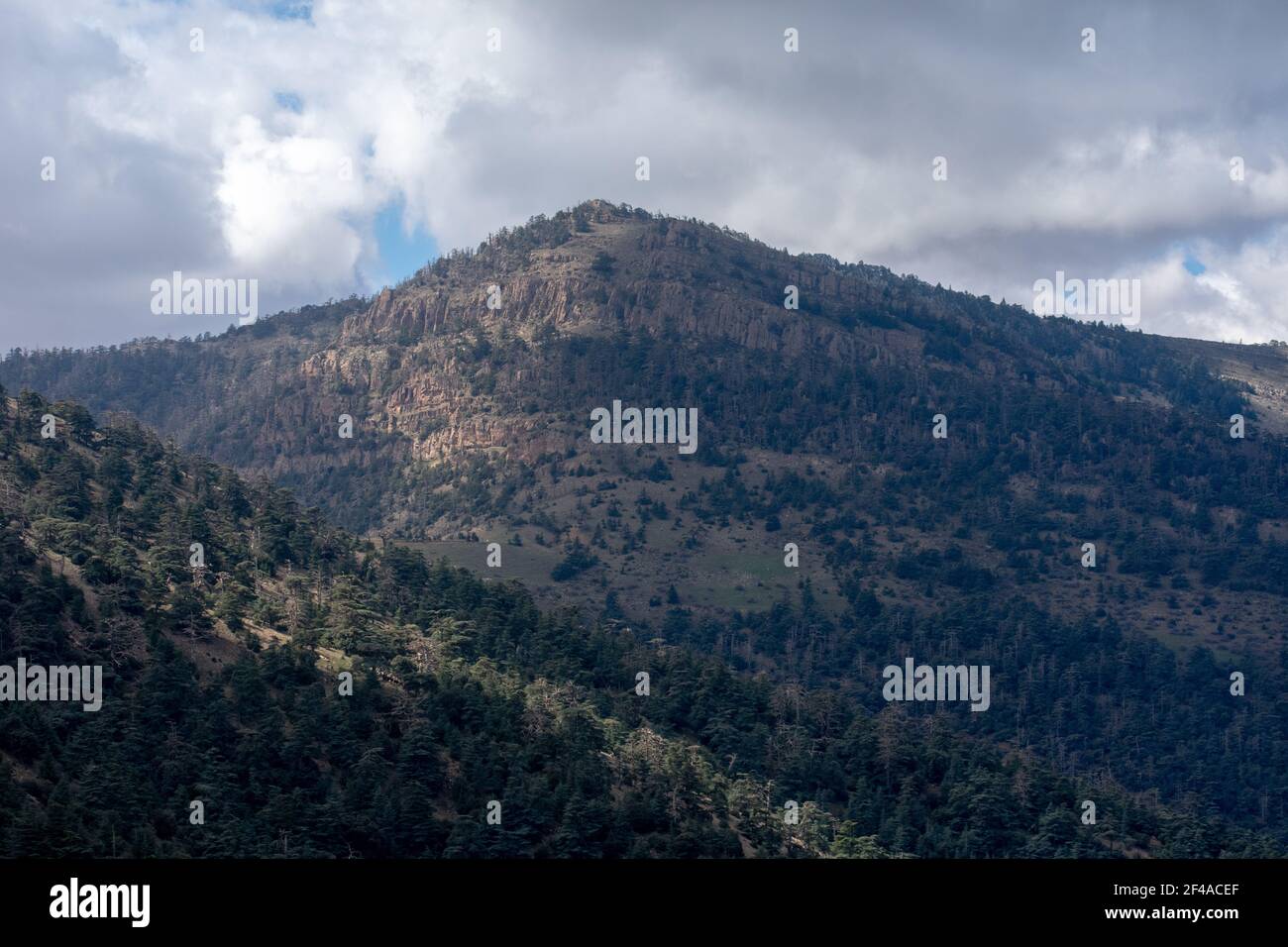 Belezma National park in the Aures mountains, Batna, Algeria Stock ...