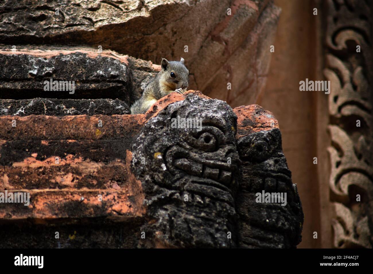 A small squirrel sitting on top of a decorated historic temple wall in ...