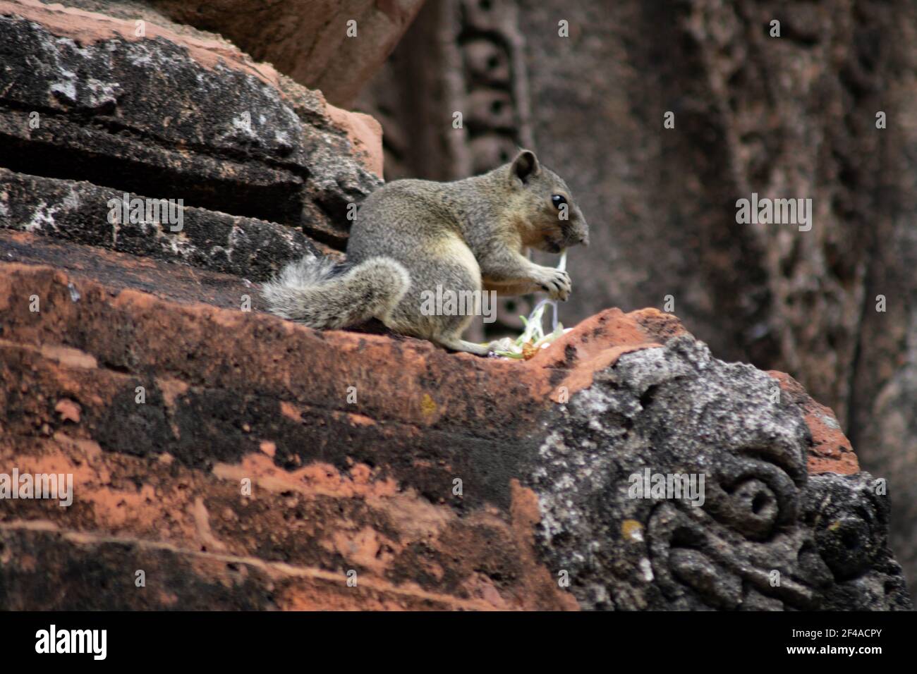 Sitting on a wall by a temple hi-res stock photography and images - Alamy