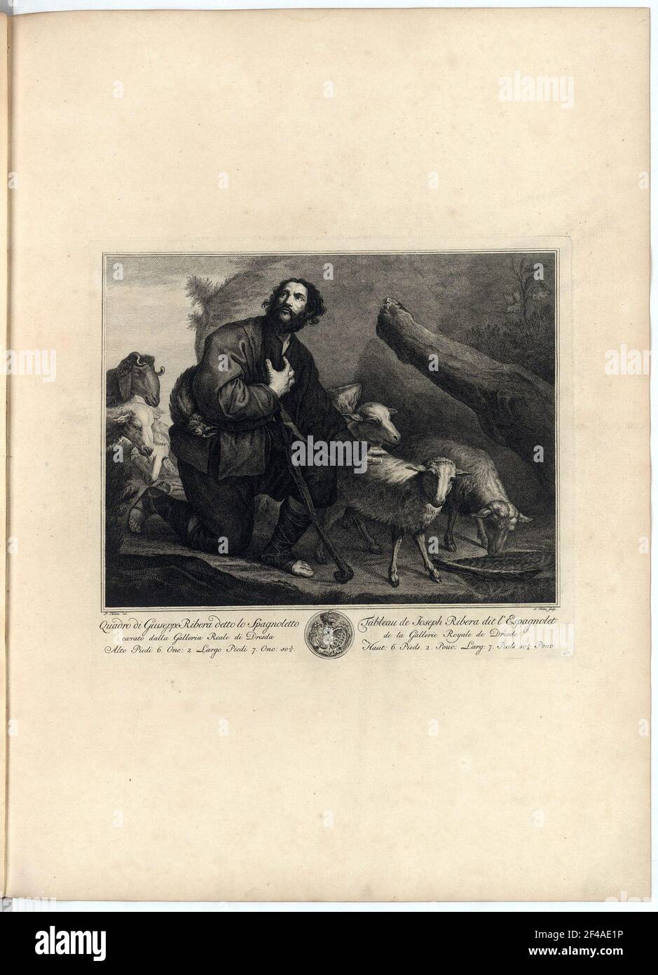 Jakob sheep hi-res stock photography and images - Alamy