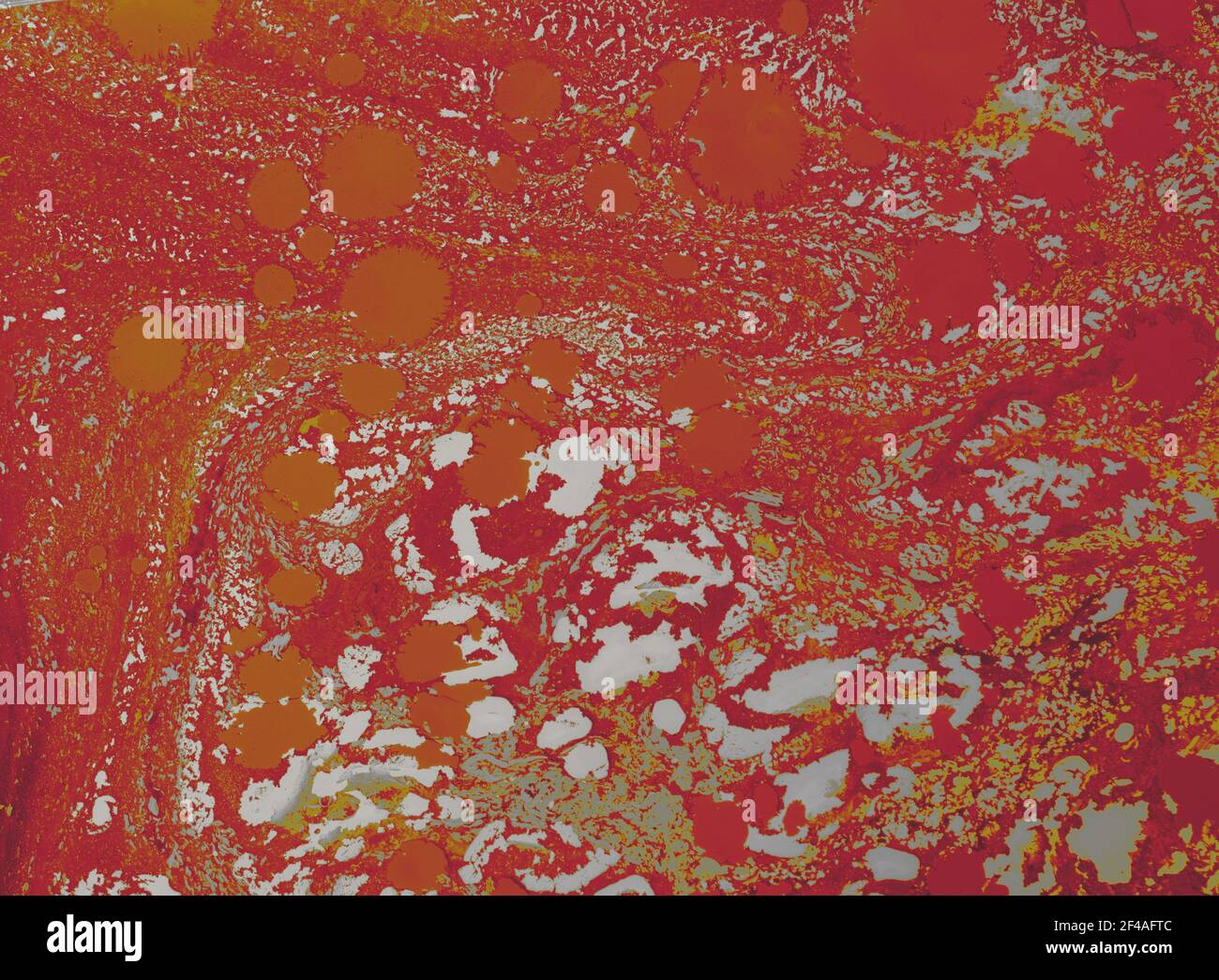 An abstract background with colorful paint splash patterns and swirly ...