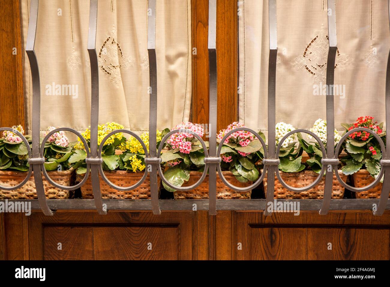 Pienza, Tuscany, Italy. Flower boxes in front of curtains. (For ...