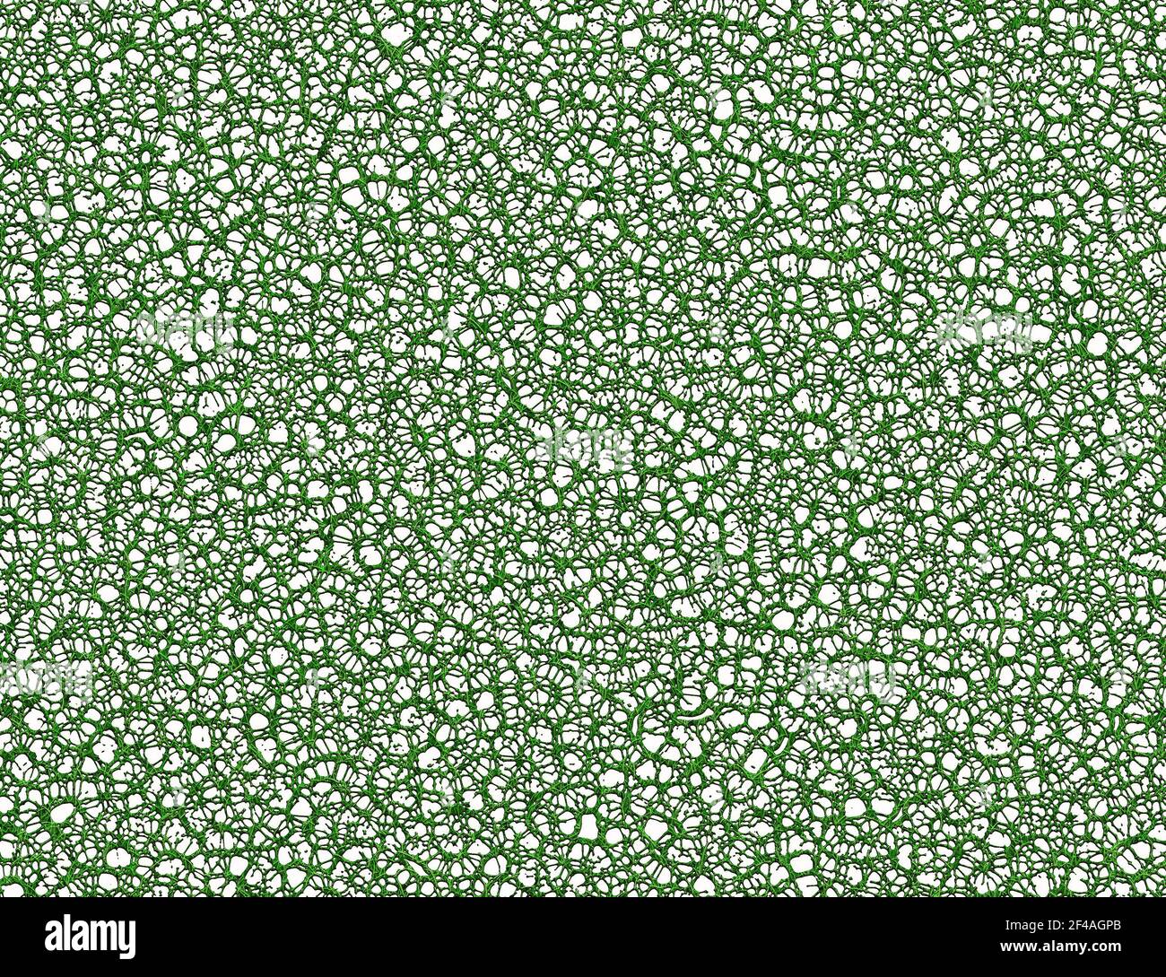 abstract net of green cells on white background Stock Photo - Alamy