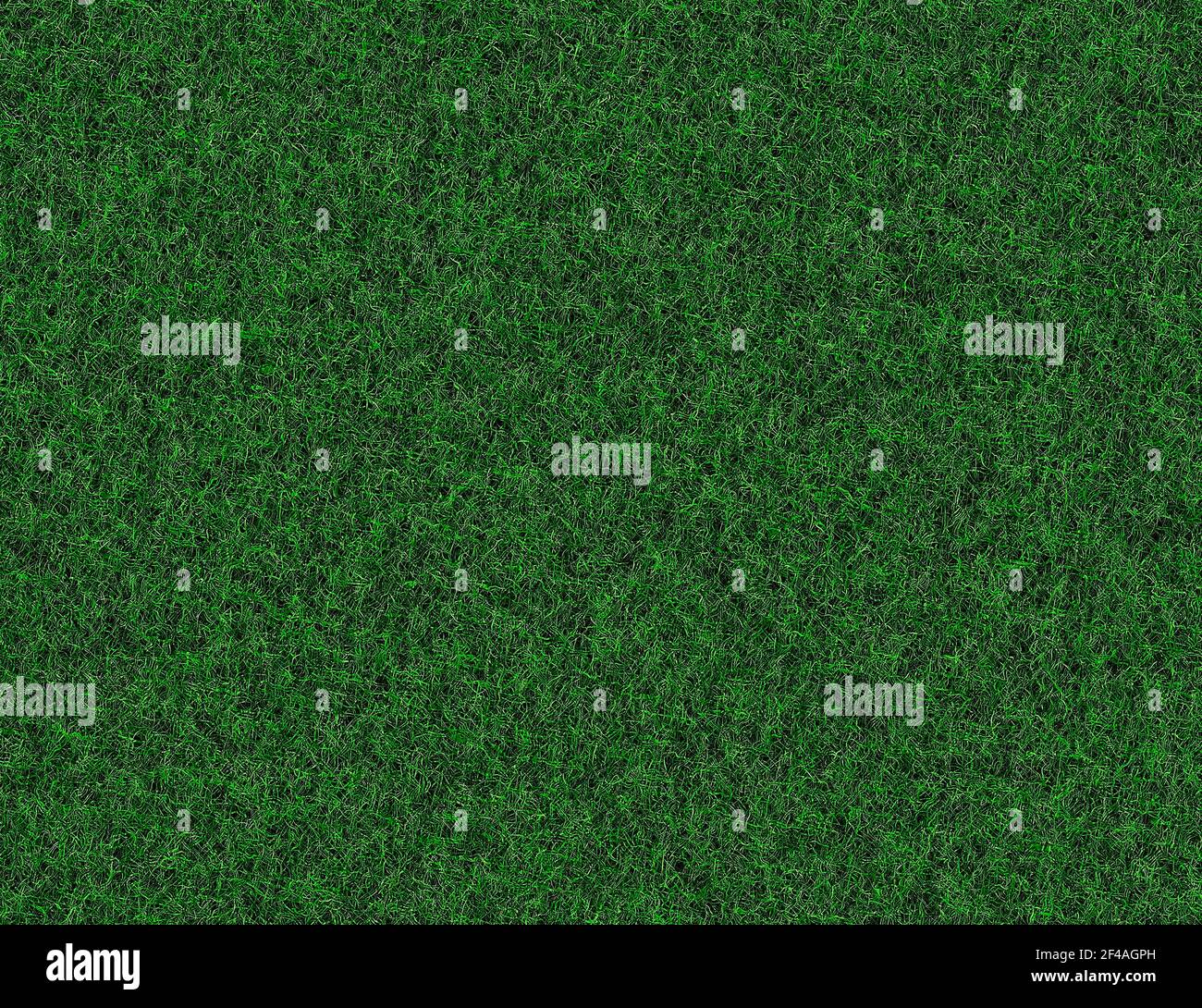 meadow lush green grass texture background Stock Photo - Alamy