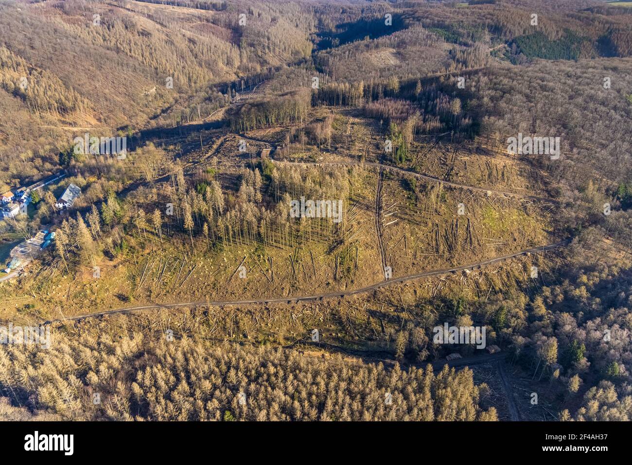 Waldsterben am lwl freilichtmuseum hagen hi-res stock photography and ...