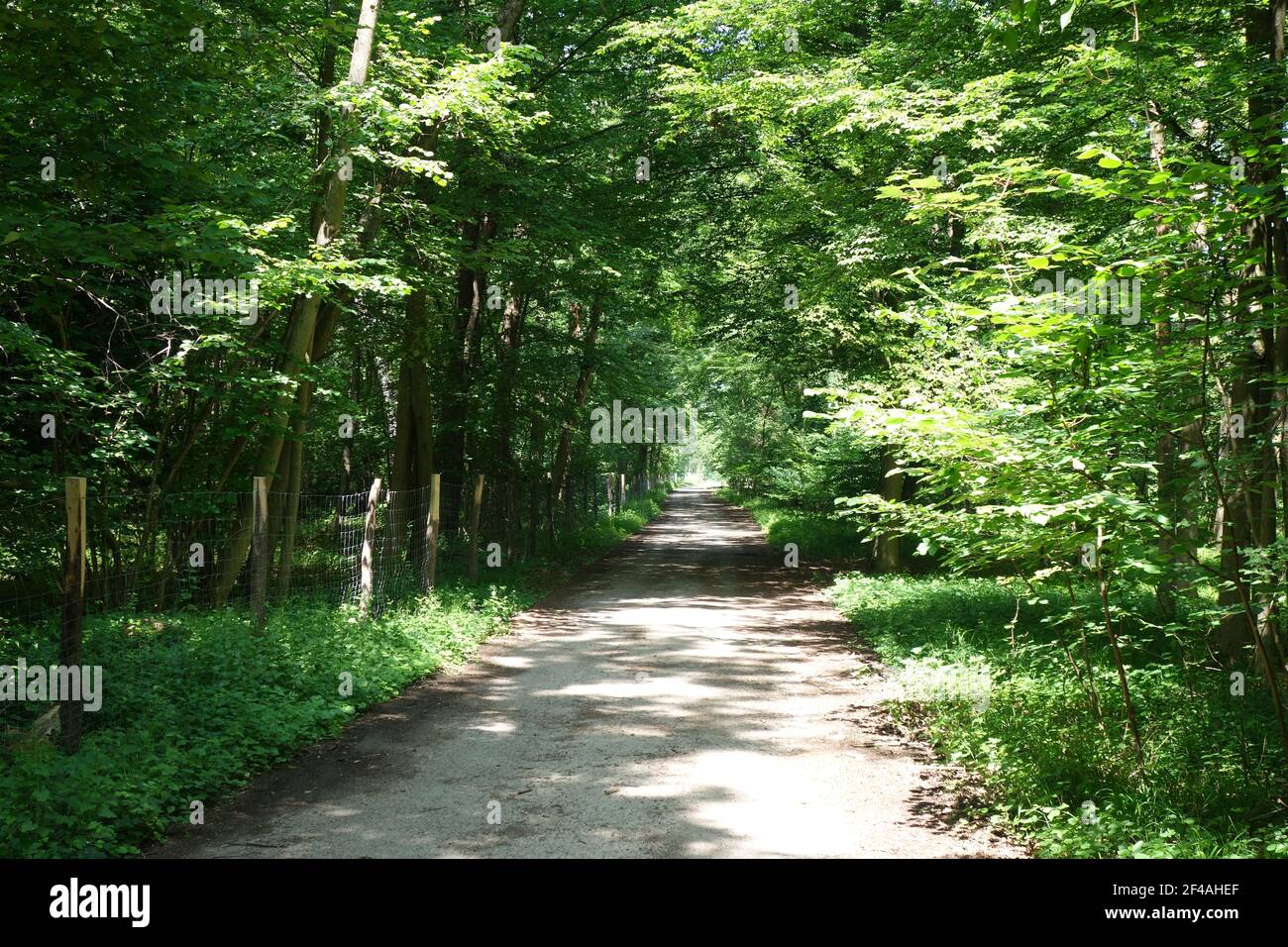 Closeup shot empty pathway hi-res stock photography and images - Alamy
