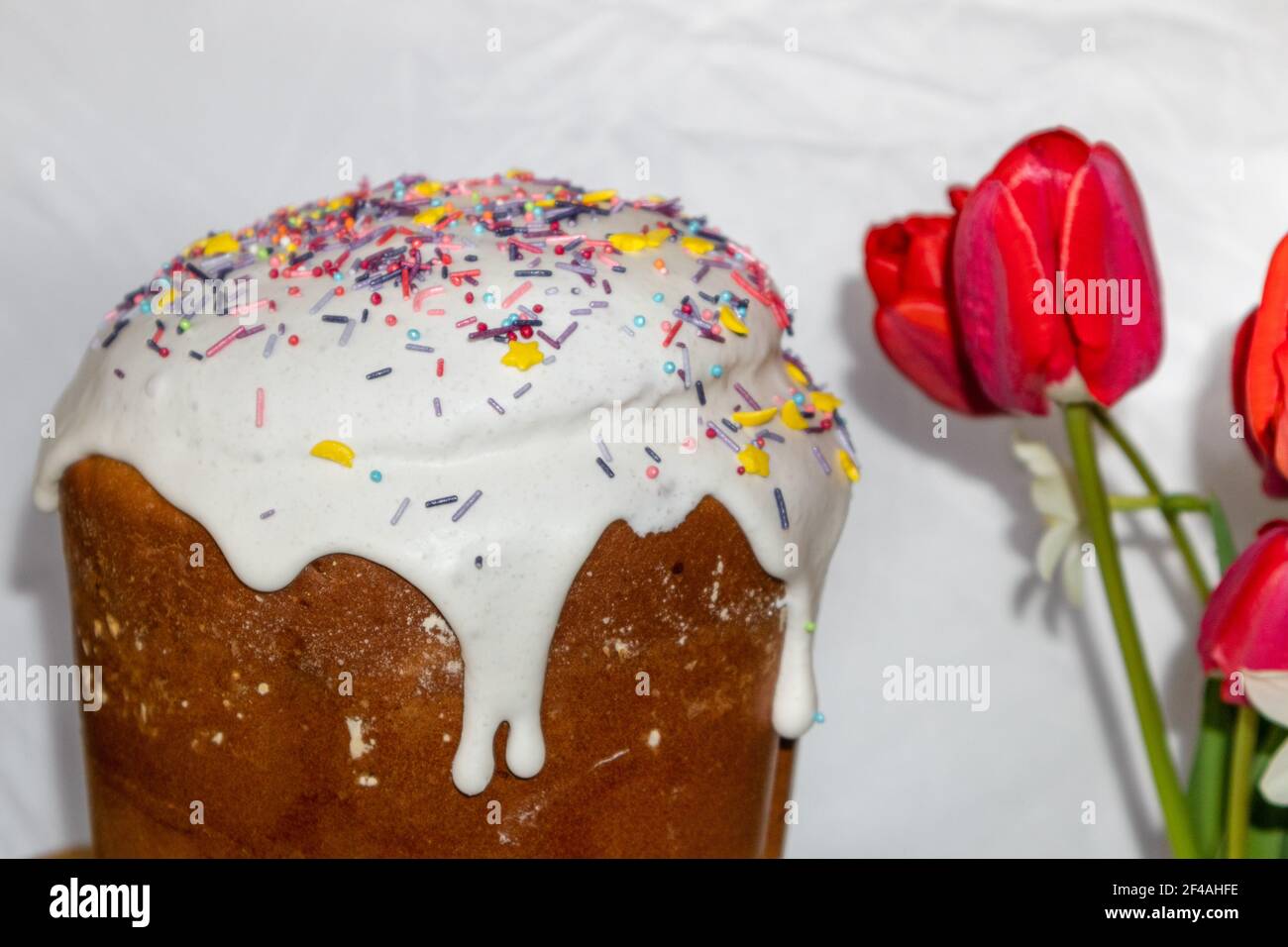 Toppi hi-res stock photography and images - Alamy