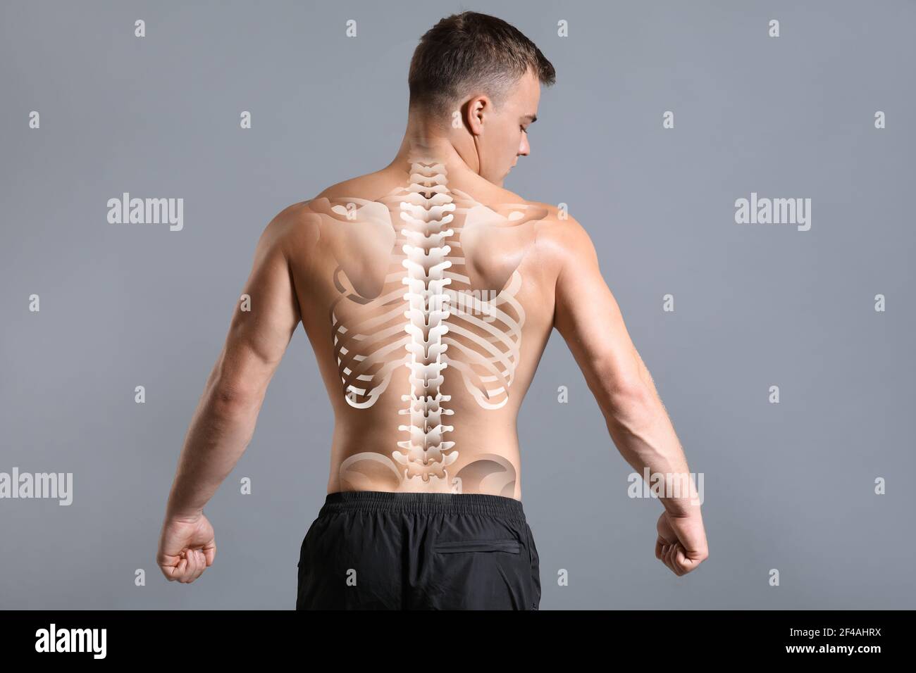 Pectoral spine hi-res stock photography and images - Alamy