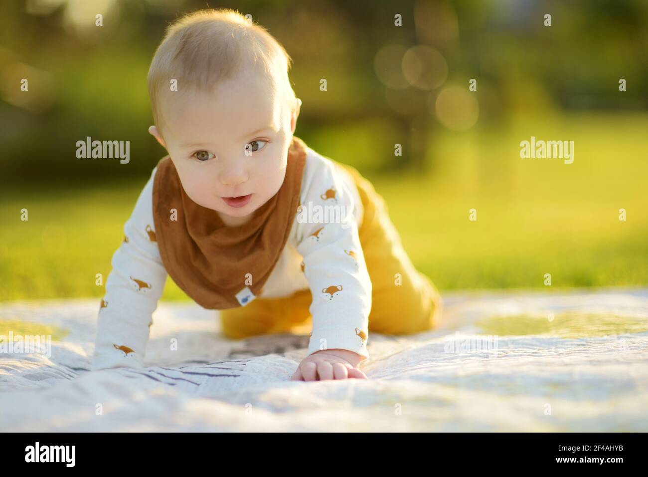 Cute five months old baby boy rocking back and forth on hands and knees ...