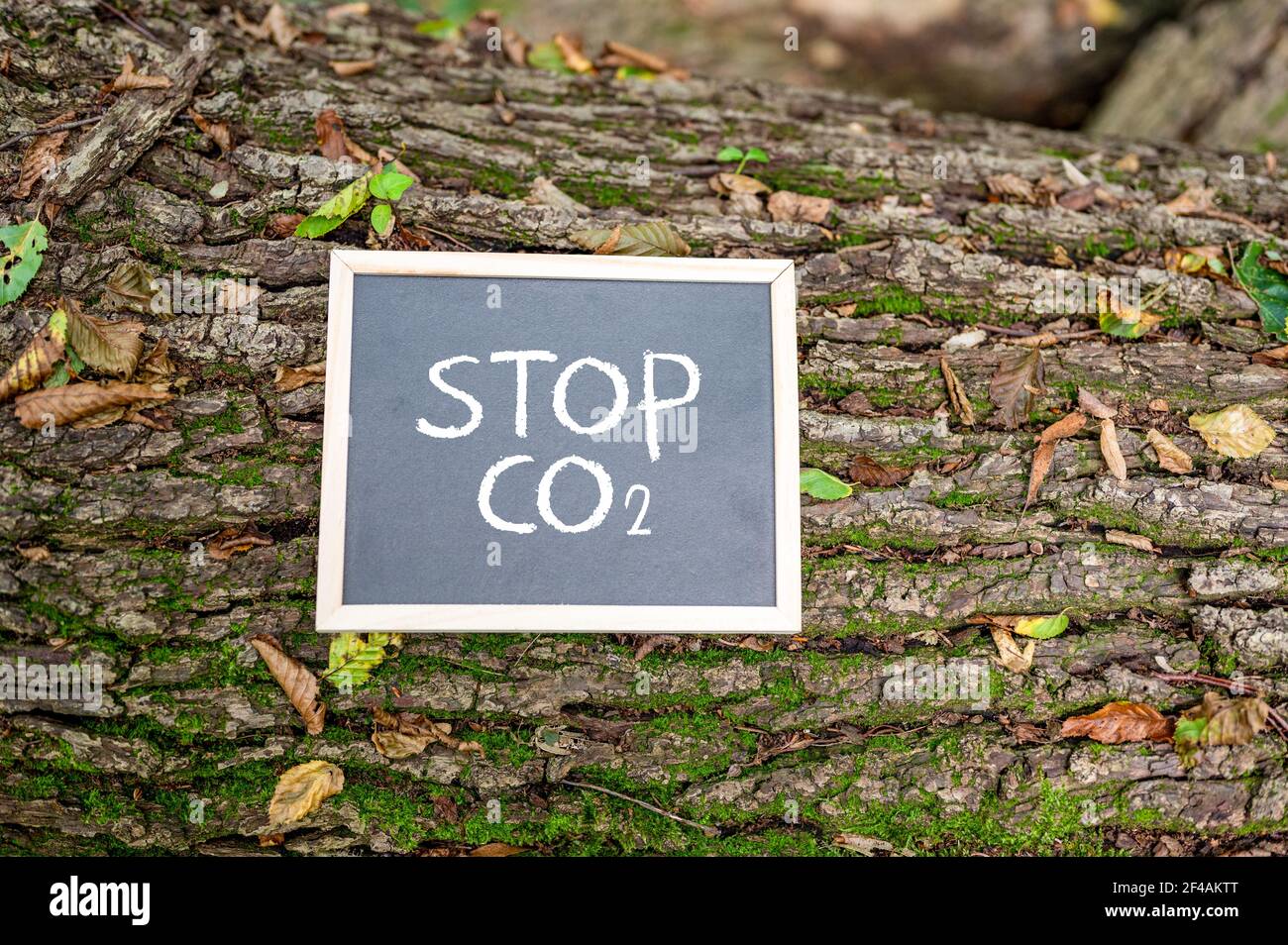 Written index hi-res stock photography and images - Alamy