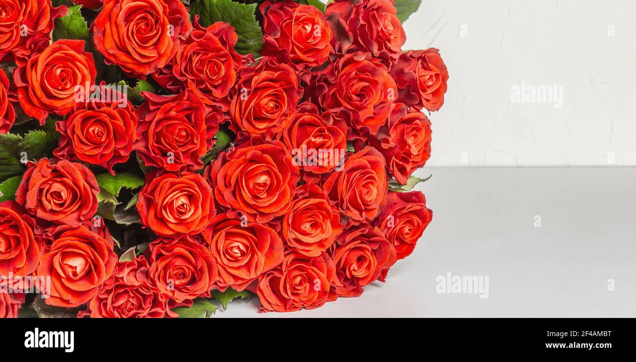 A lush bouquet of fresh red roses. Flower composition on light pastel ...