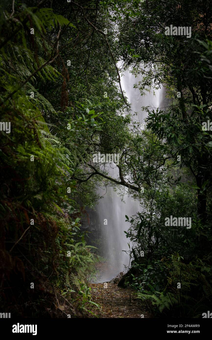 Rain forrest waterfall Stock Photo - Alamy