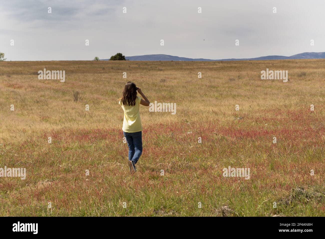 A brunette woman walking by herself in a large yellow field during dayl ...