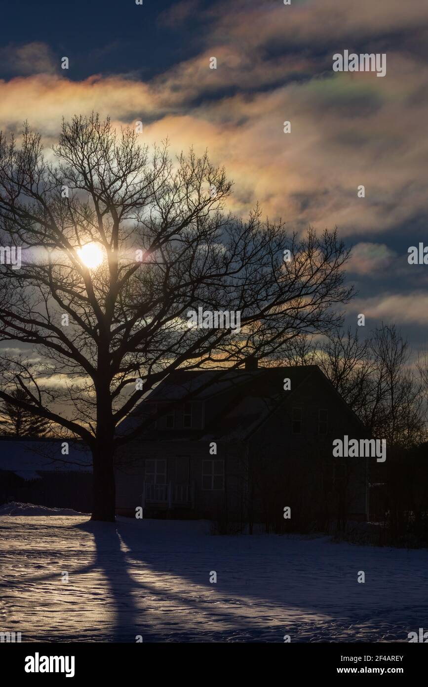 The harsh morning light creates an eerie feel to a northern Wisconsin ...