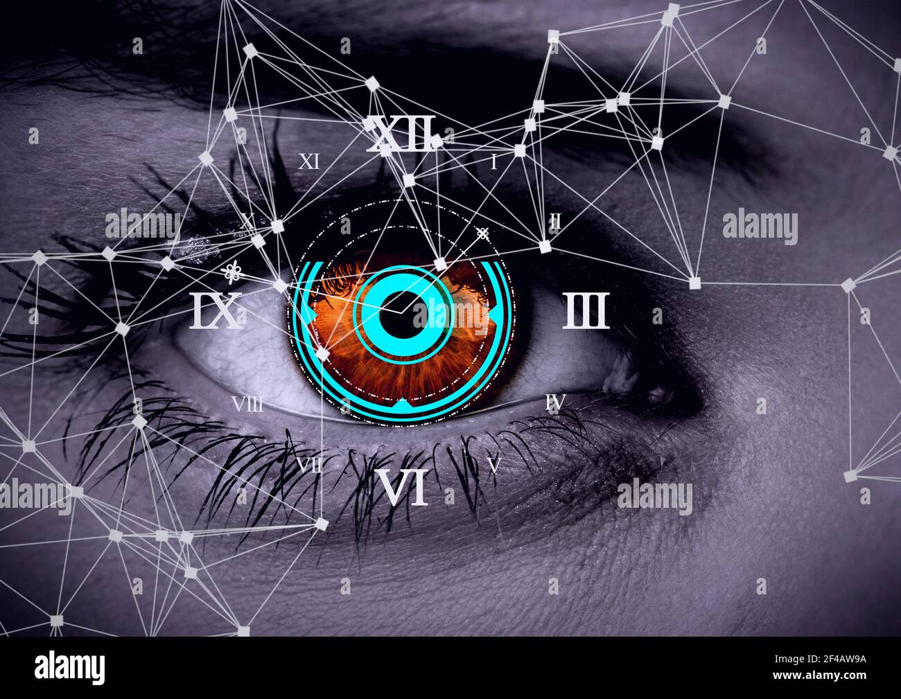 Round scanner network hi-res stock photography and images - Alamy
