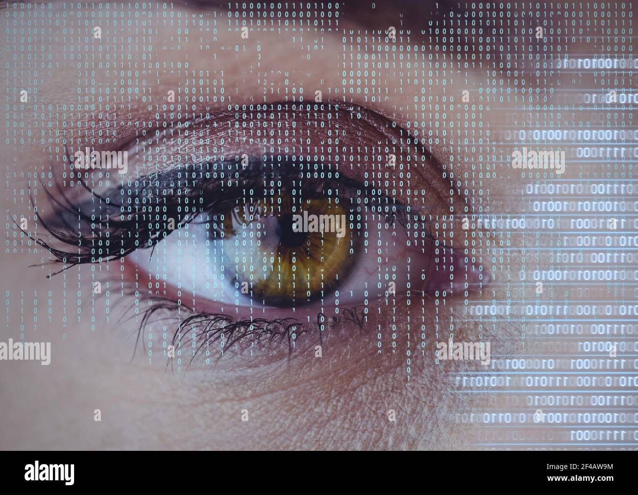 Digital composite image of data processing against close up of female ...