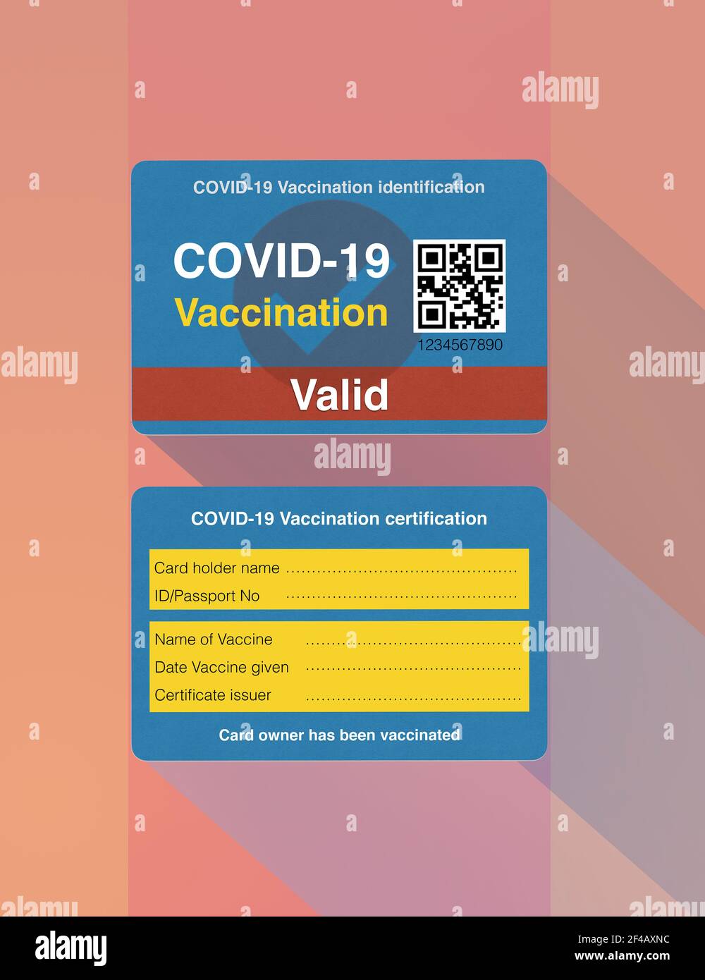 Front and back of Covid-19 vaccination identification card on graphic ...