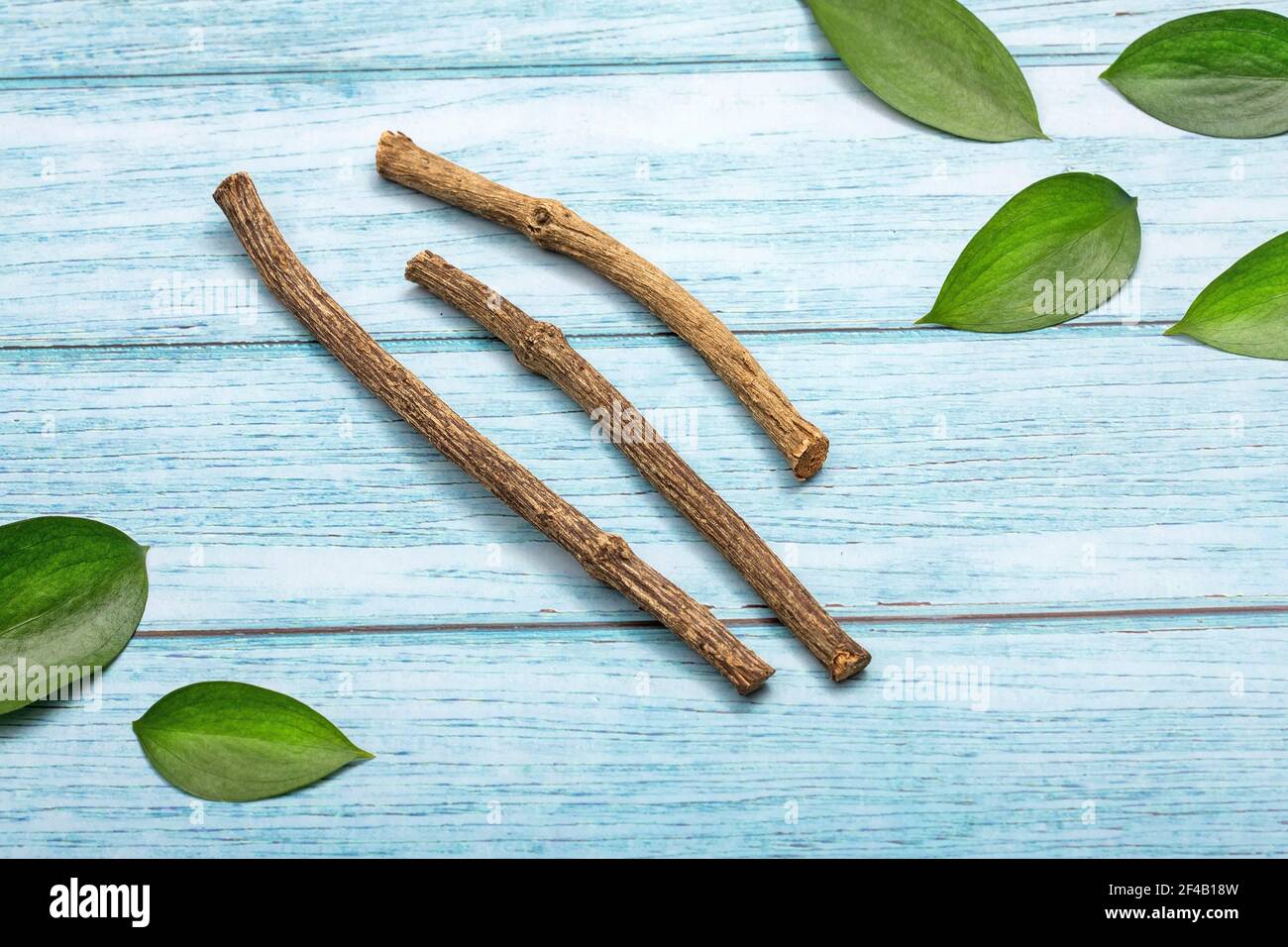 Valeriana officinalis isolated hi-res stock photography and images - Alamy