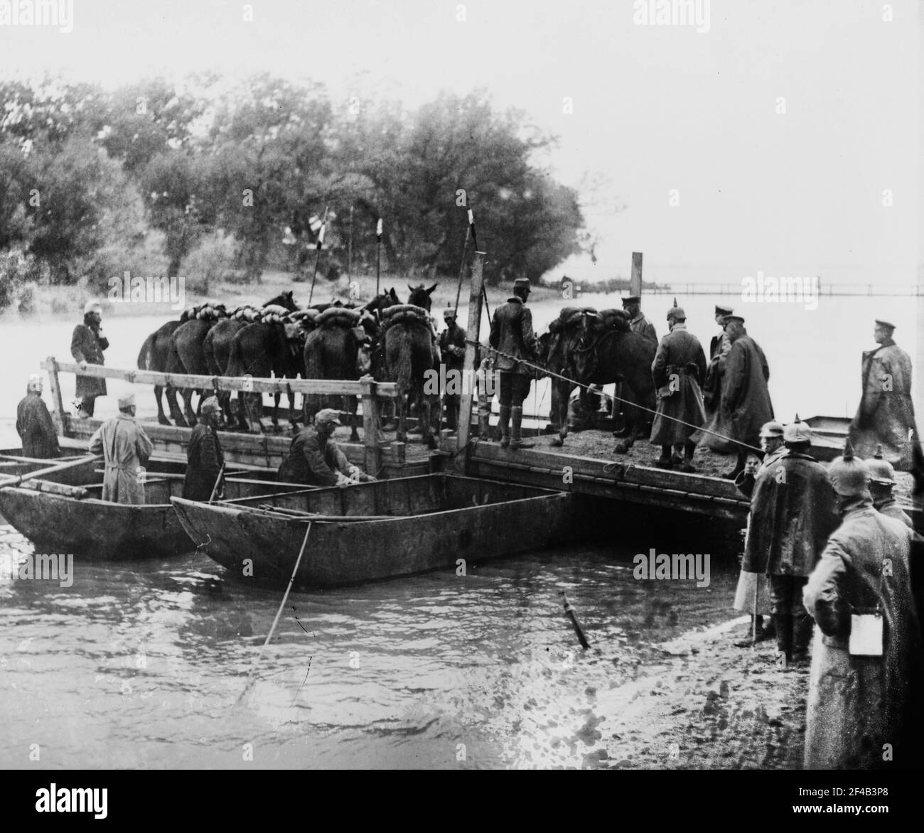 Transporting cavalry troops over the Danube River to Serbia ca. 1910 ...